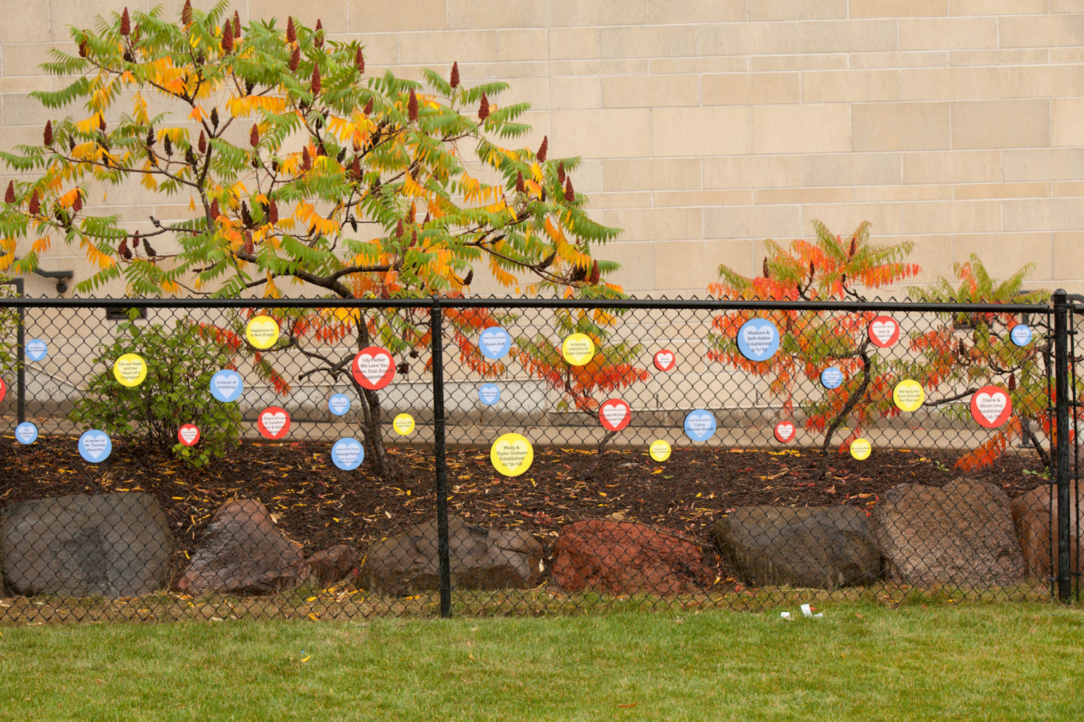 RMHC Heart Wall: An Inspiring Tribute of Love and Remembrance